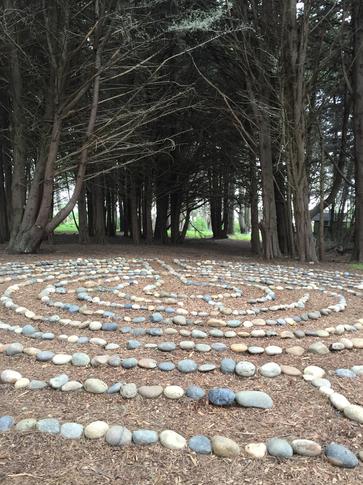 Home [www.embodiedmedicine.org]