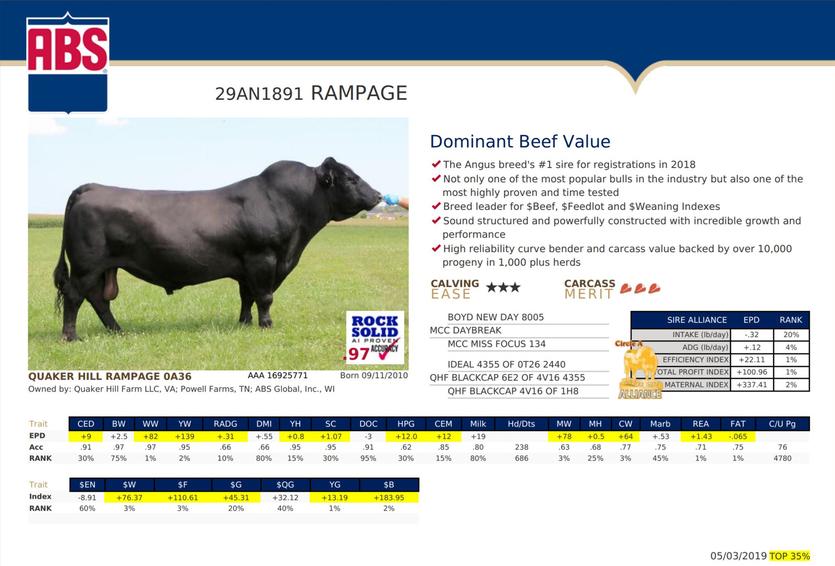 Rafter JM Cattle Co. - Red Angus, Angus Cattle, Black Angus