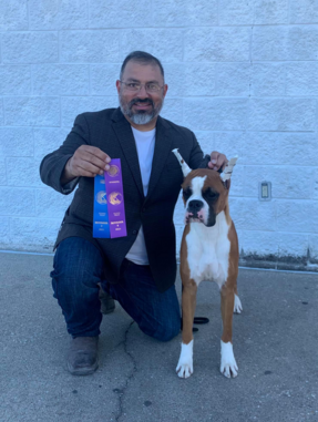 Boxers Dogs, Boxer Breed - Texas Boxer Pups - Cleveland, Tx