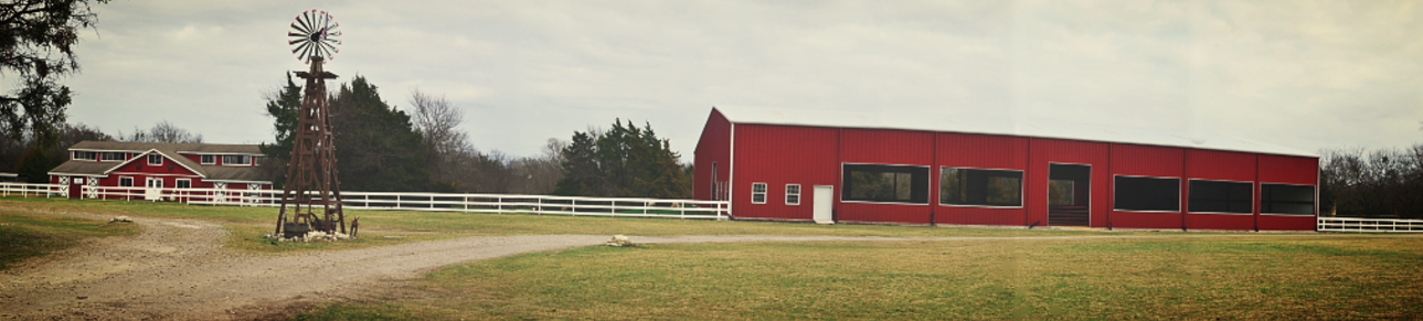 Paws for Reflection Ranch - Counseling, Therapeutic Horseback Riding