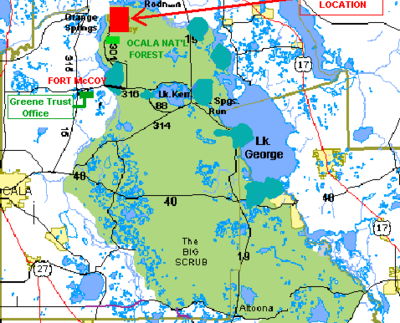 Florida Land Sale - Ocala National Forest Private Lots