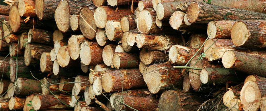 Wheat Lumber Company - Lumber, Plywood, Lumber Yard