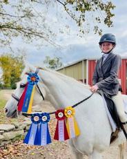 Boarding at Black Ridge Farm