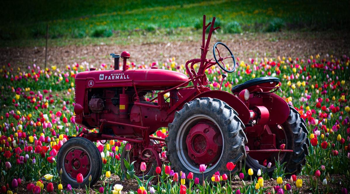 Local Homestead Products | New Windsor Maryland | Farm Fresh & Locally ...