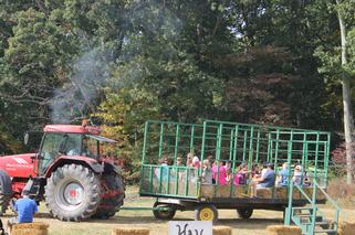 Corn maze, hayrides