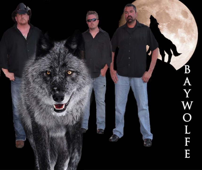 Baywolfe - Live Music Band, Entertainment, Party Entertainment
