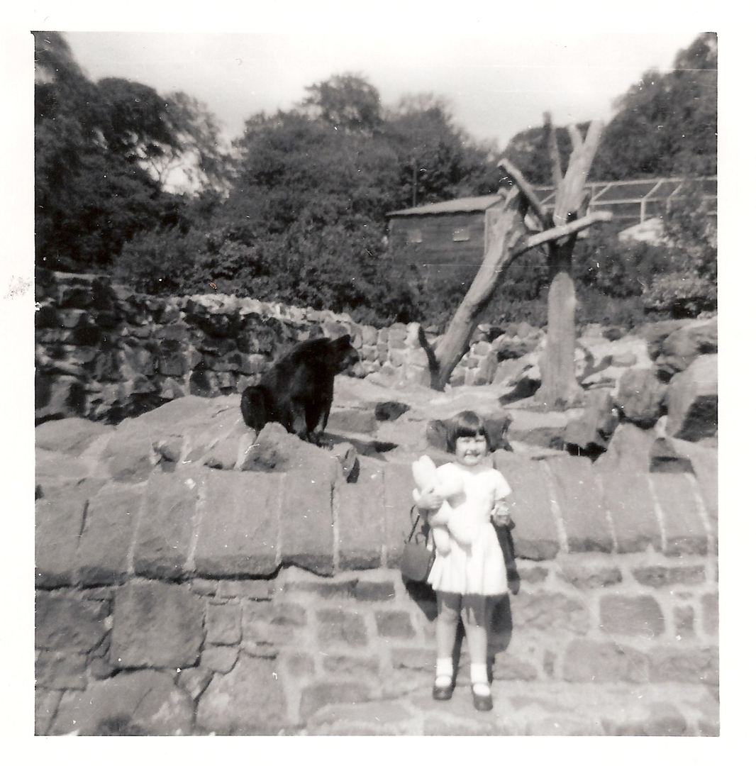 The Story of Wojtek The Bear, Poland's Unlikely Heroic Soldier