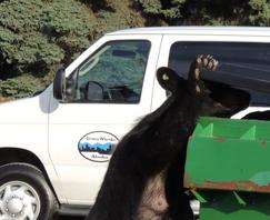 Graceworks Alaska - Online