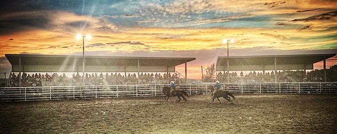 Home [www.sdrodeo.com]