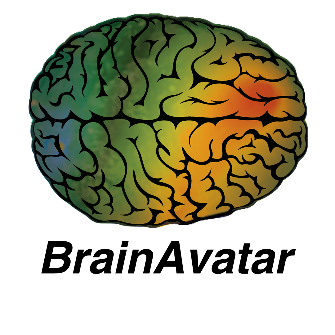 Brainavatar - Brain Mapping and Neurofeedback Systems