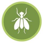 Eco-Sound Pest Management in Birmingham, Michigan
