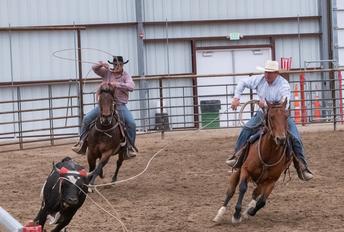 Home [www.thecowboylife.com]