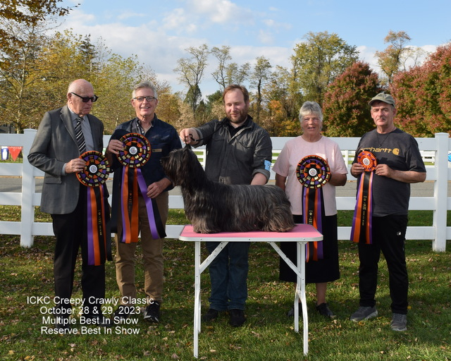 International Canine Kennel Club