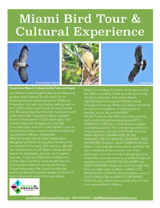 Miami Bird Guides