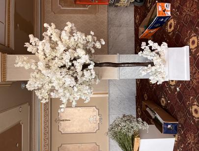 Cherry Blossom Trees and Green Trees for rent - Exceptional Party Rental