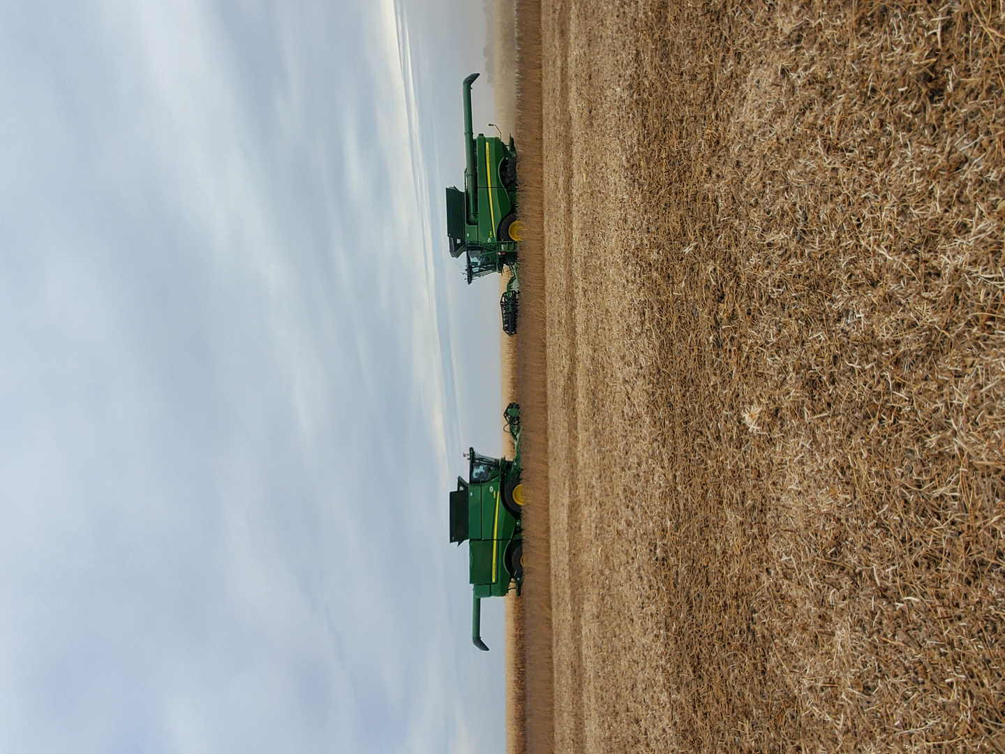 Central Illinois Farms | Wentworth Family Farms