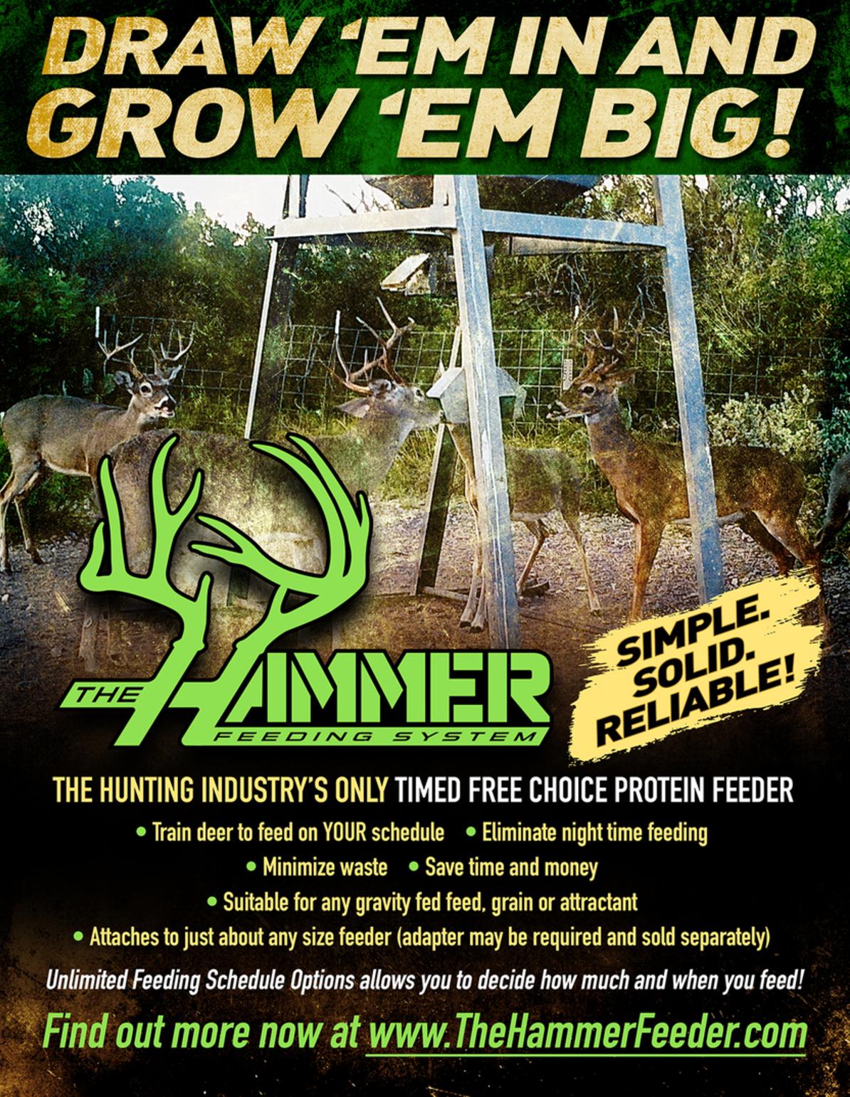The Hammer Feeding System - timed protein feeders