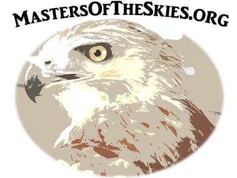 Welcome to Masters Of The Skies