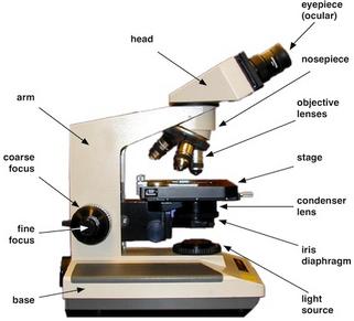 Biology 111 Laboratory