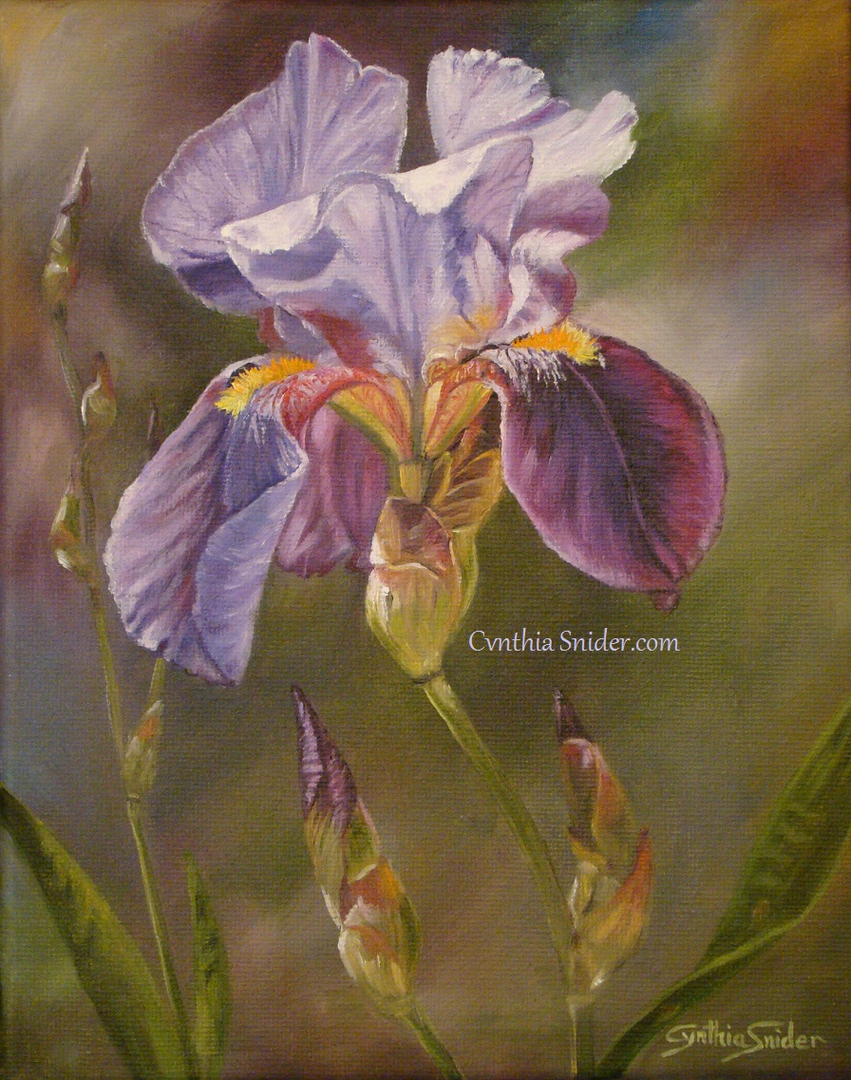 Home [www.cynthiasnider.com]