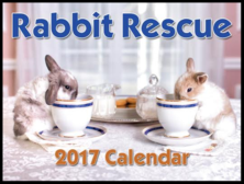 Home [www.therabbitresource.org]