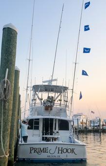 Prime Hook Sportfishing - offshore fishing, sport fishing charters ...