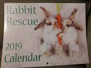 Home [www.therabbitresource.org]