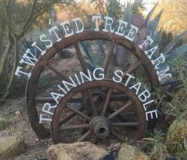 A Hunter Jumper Horse Boarding & Training Barn, English Riding Lessons ...