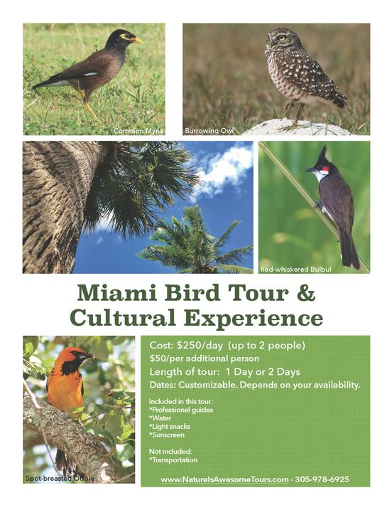 Miami Bird Guides