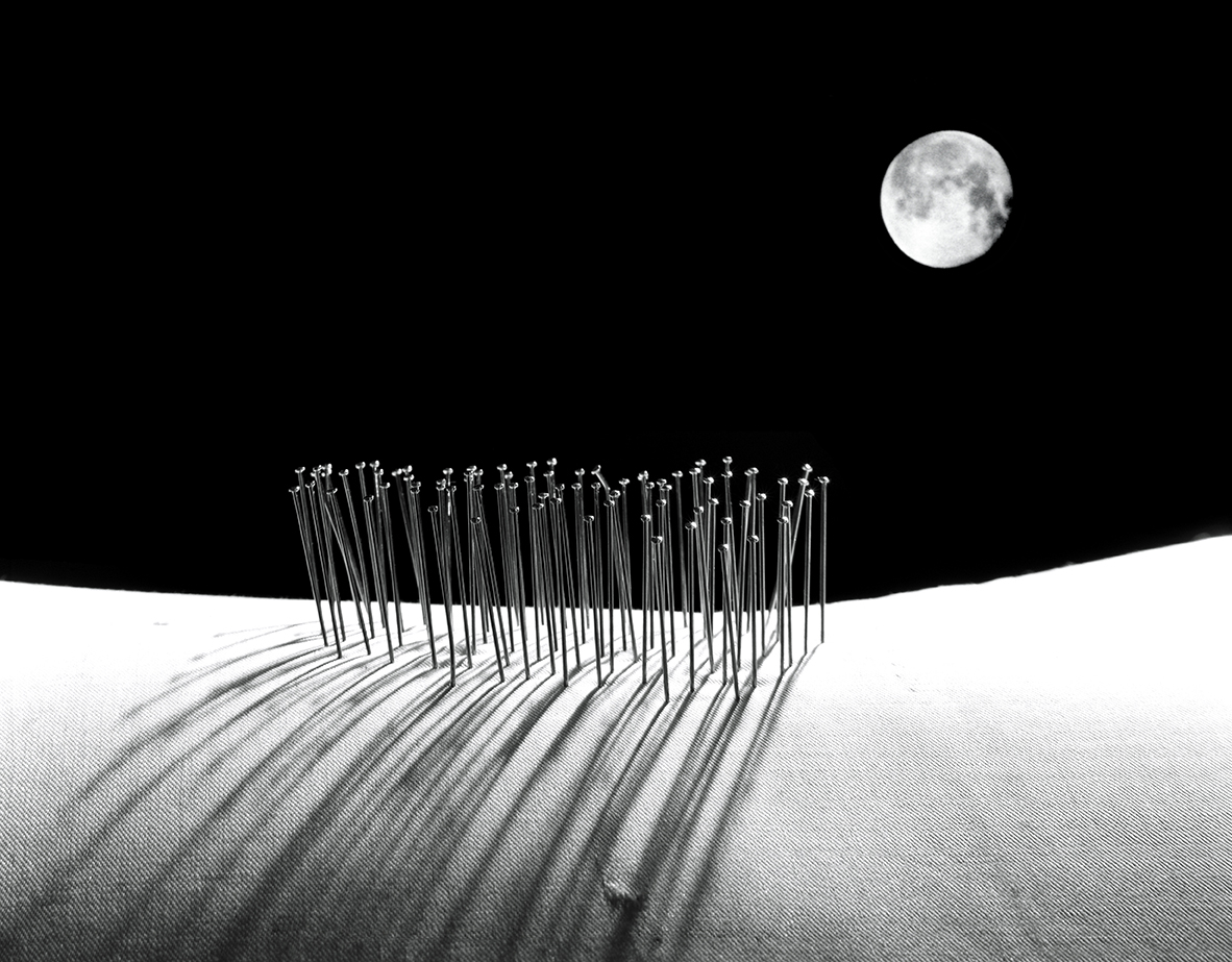 Home [www.drewtriplett.com]