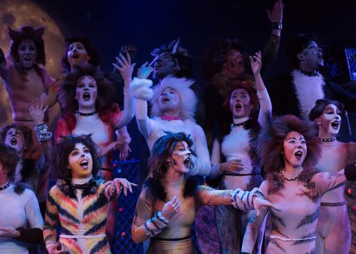 Repertory Company Theatre in Richardson, Tx : About