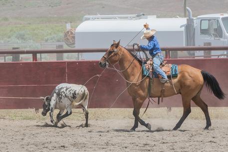 Home [www.thecowboylife.com]