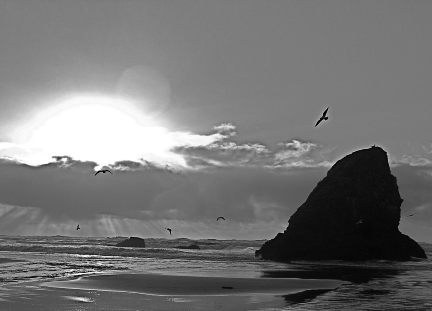 Zilka Joseph - author, poet, editor, educator, creative writing ...