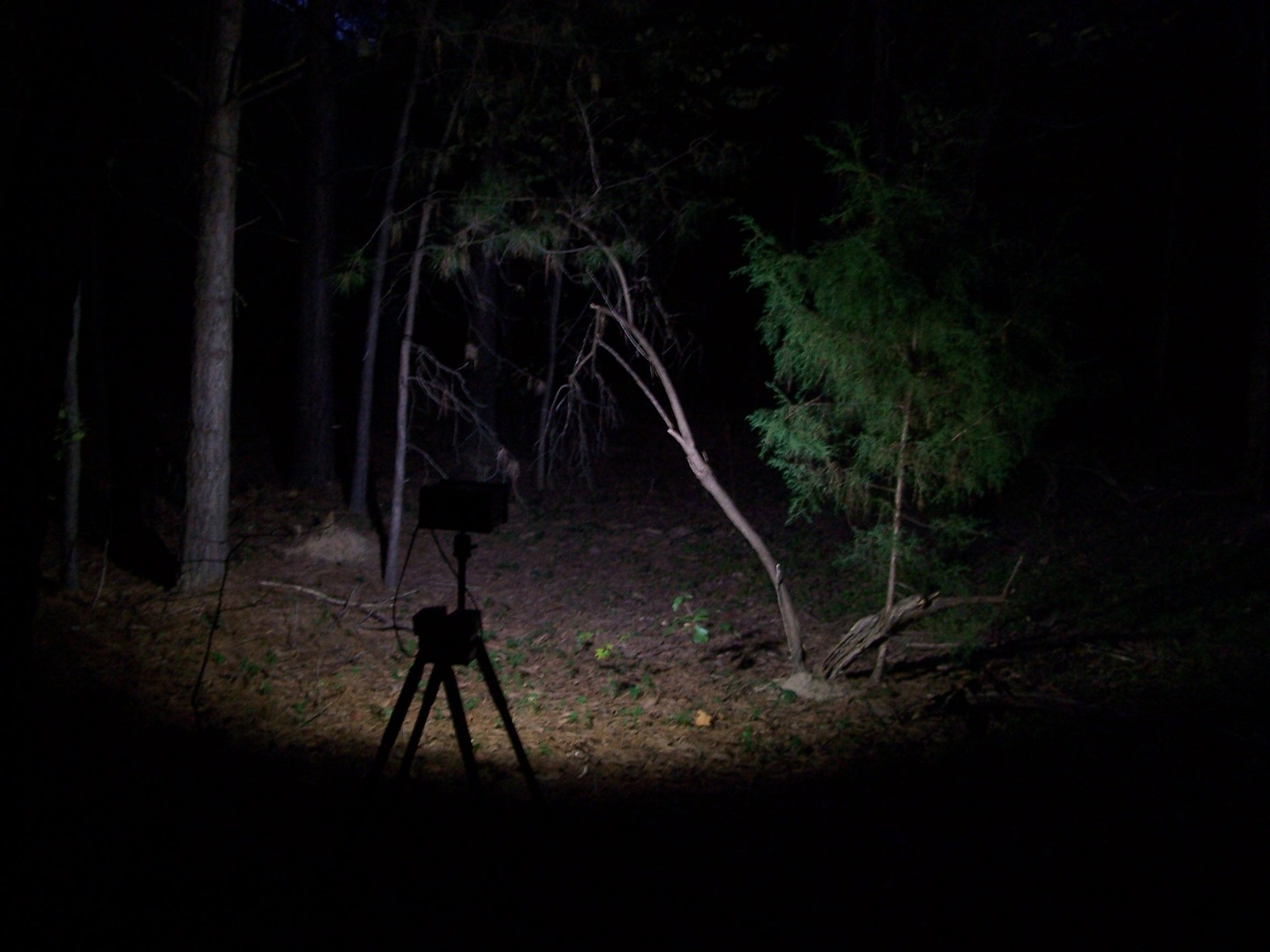 Cyberlux Corp (CYBL) Stock Message Board - InvestorsHub