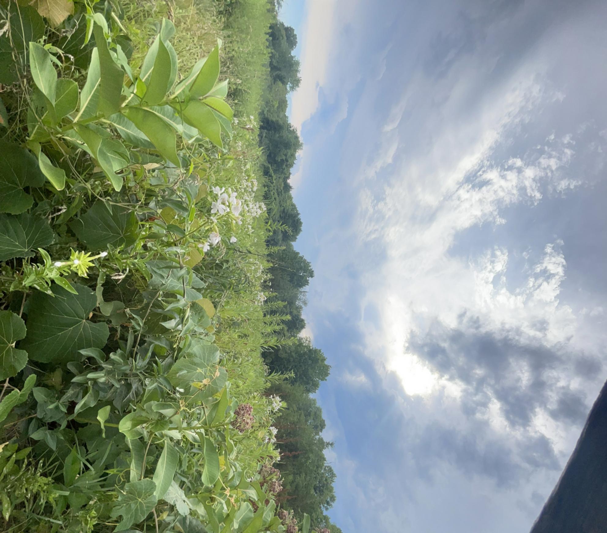 The Recovery Connection is a peer recovery support center in ...