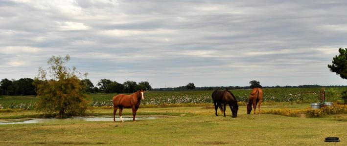 Home [www.claymercer.com]