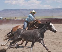 Home [thecowboylife.com]