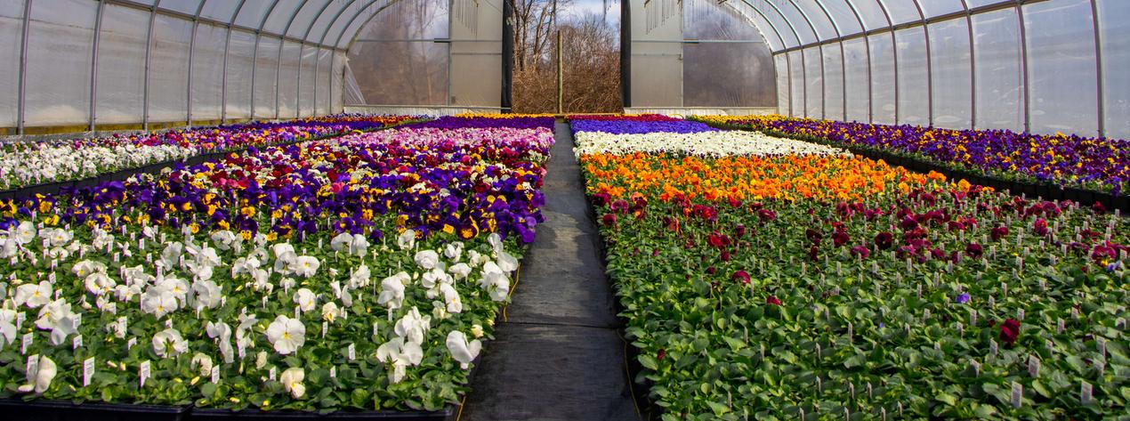 Welcome to WaterField Farms