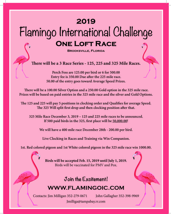 Home [www.flamingoic.com]