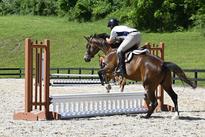 Lehigh Riding Club Home. Local hunter/jumper & dressage shows.