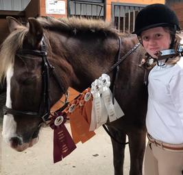 Home [www.autumngrovestables.net]