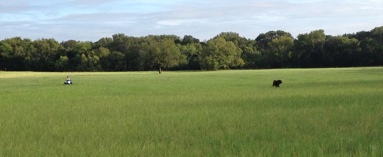 Riggs Hay Farm - Online : About