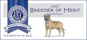 Home [www.boulderridgekennels.com]