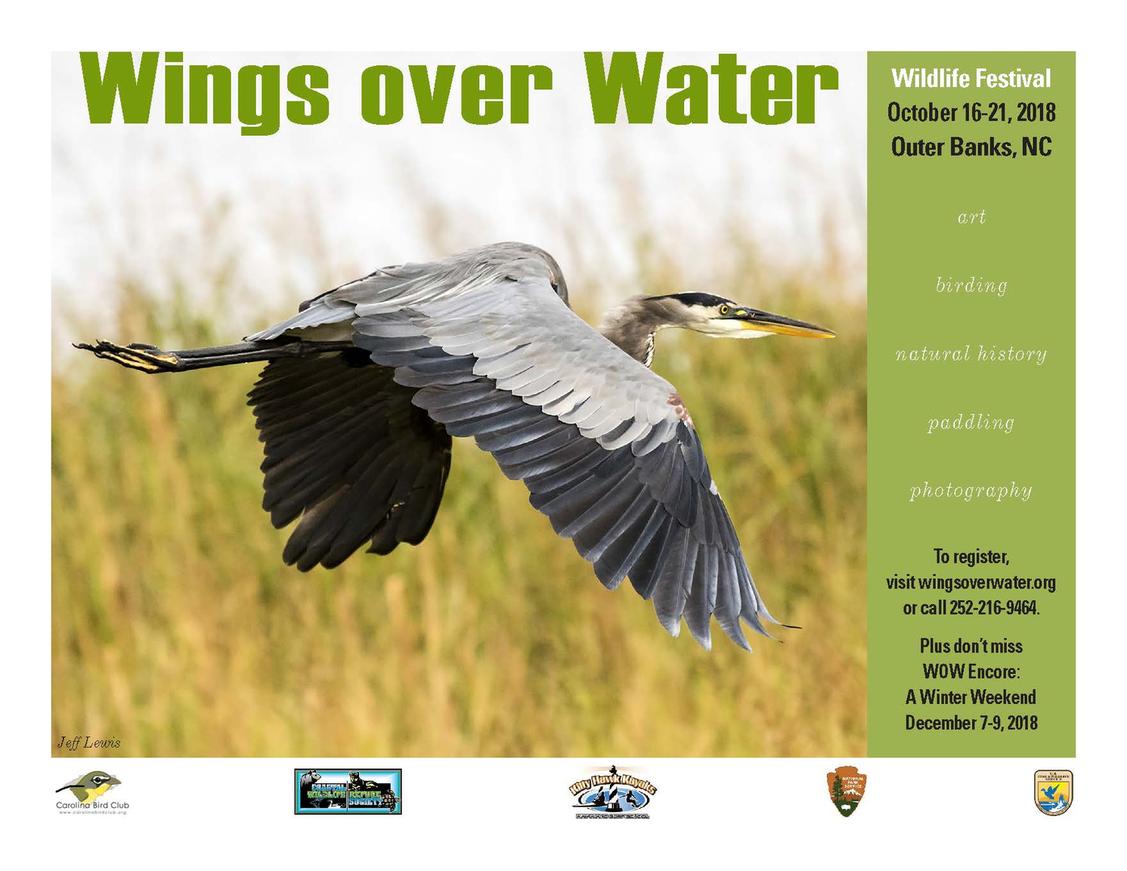 Wings Over Water Wildlife Festival - Wildlife Tours, Nature Education