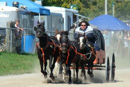 Ontario chuckwagon racing photo