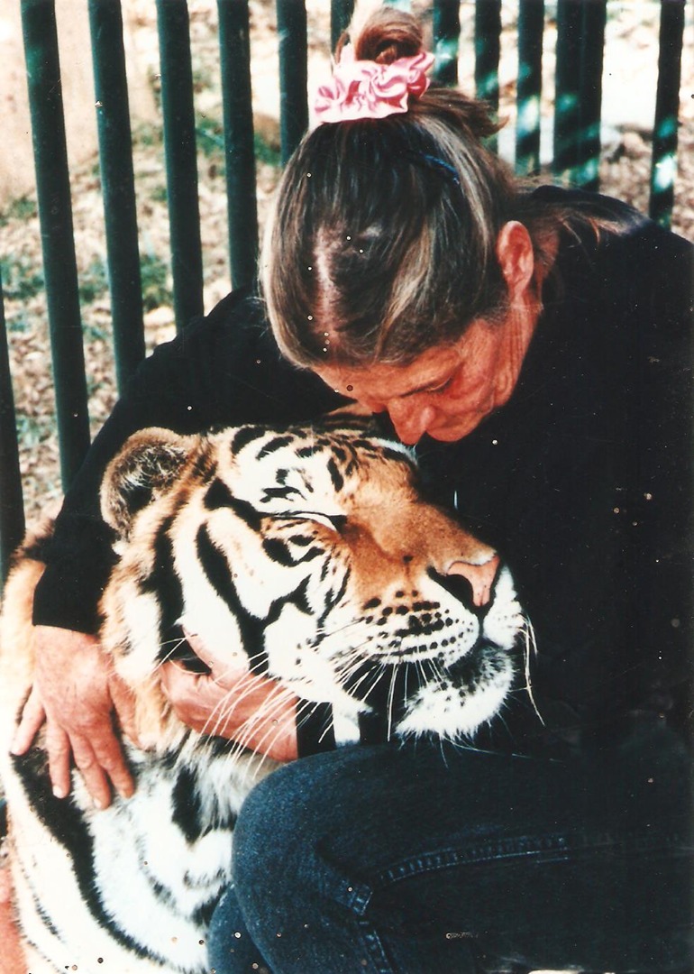 Home [riverglentigershelter.org]