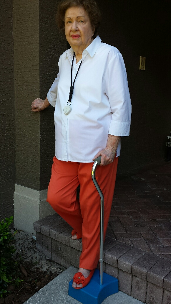 Home [www.ez-step.com]