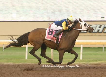 Home - Evans Thoroughbred Racing