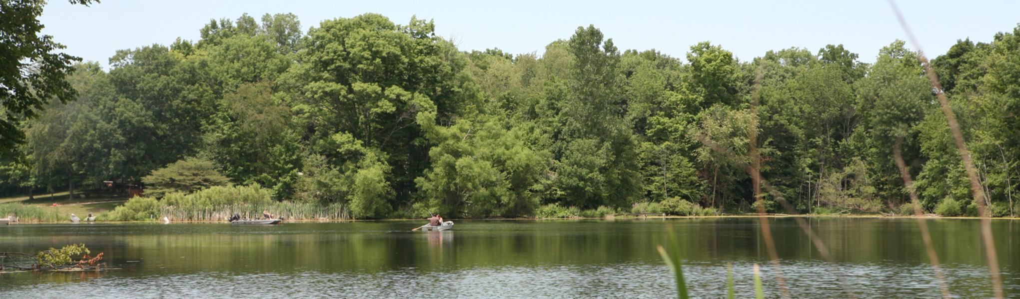 Discover Timber Lake