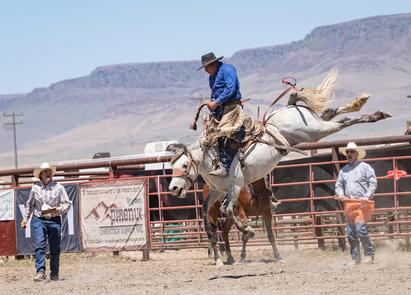 Home [www.thecowboylife.com]